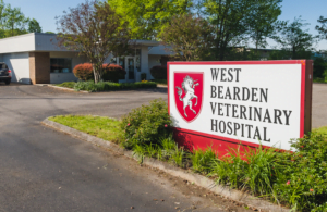 Contact Thank - West Bearden Veterinary Hospital